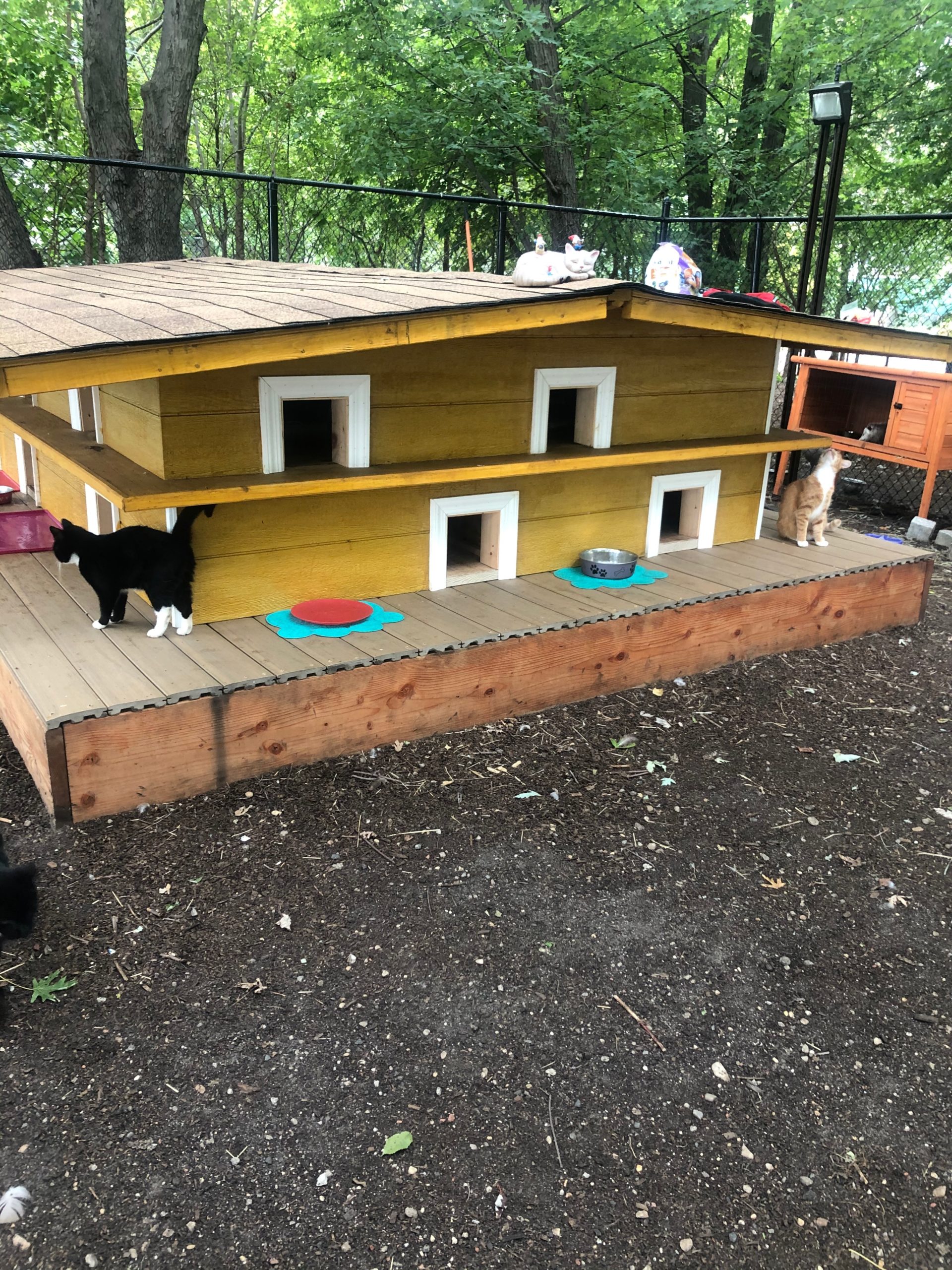 About Us | Wildlife Freedom Foundation