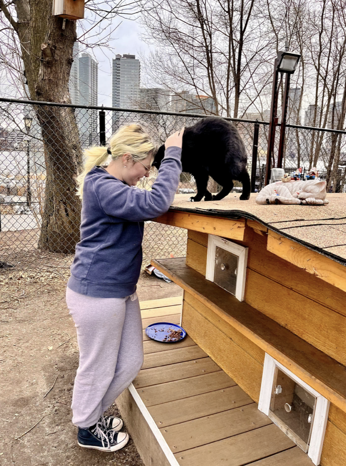 Volunteering | Wildlife Freedom Foundation